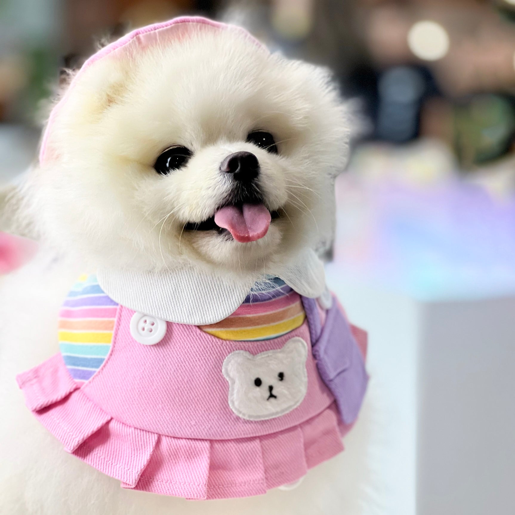 Small Cat Clothing & Accessories | Cute Outfits for Kittens – Page 2 ...